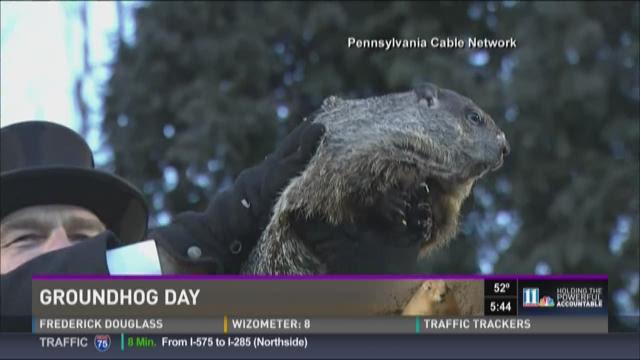 Groundhog Day: Did he see his shadow? | 11alive.com